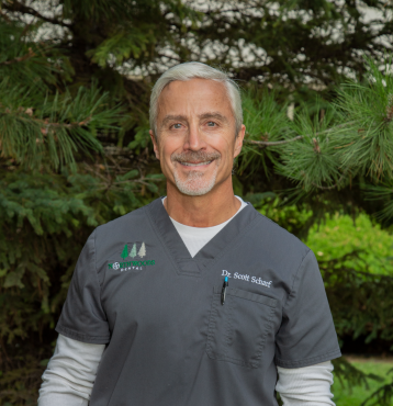 Dentist Plymouth Minnesota | Cosmetic Dentistry